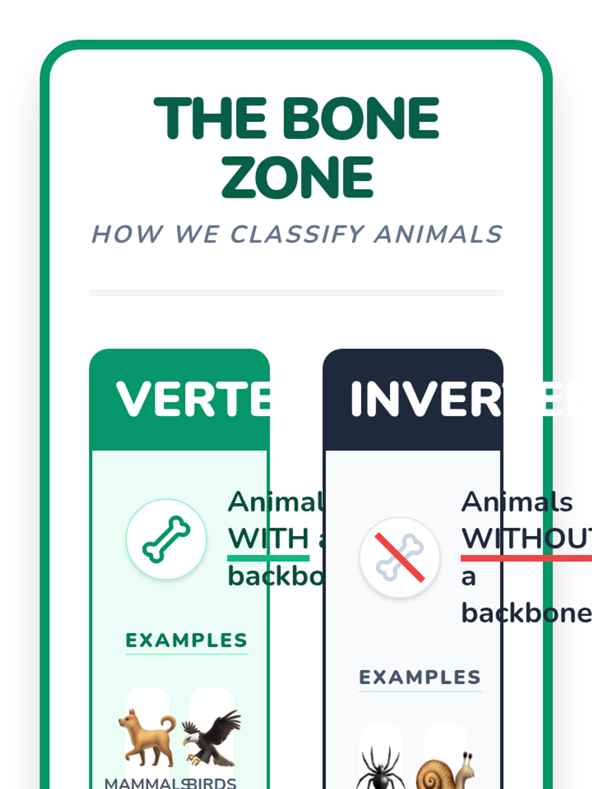 Backbone Basics Anchor Chart • Material • Lenny Learning