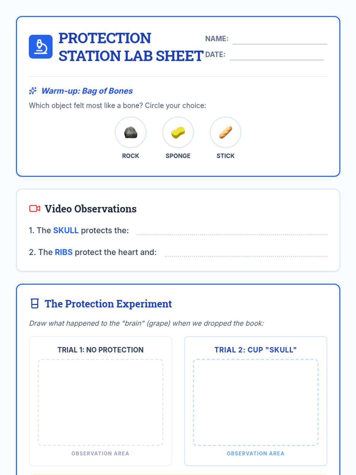 Protection Station Lab Sheet • Material • Lenny Learning