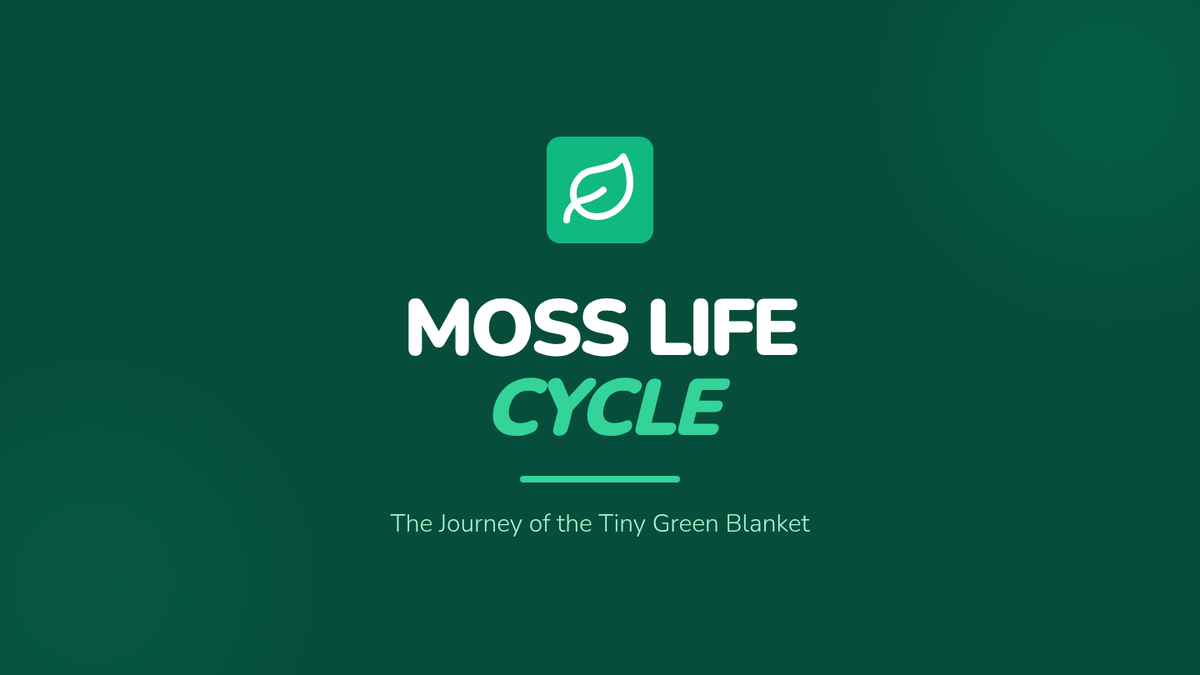 Moss Life Cycle • Lesson • Lenny Learning