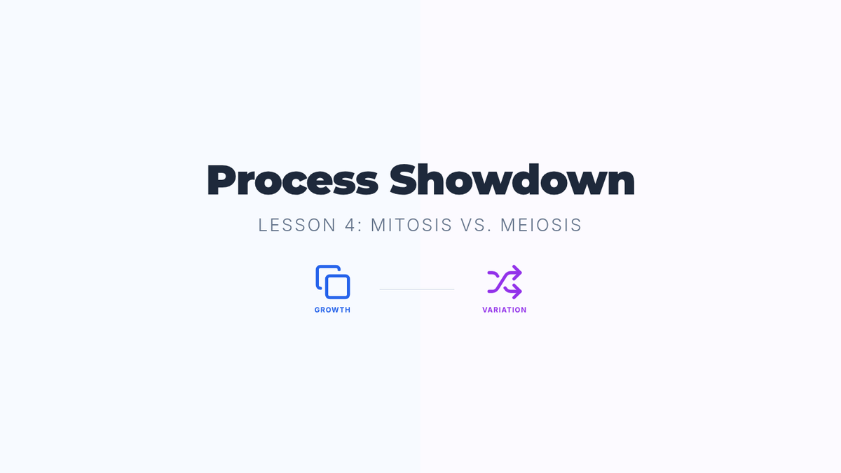 Comparing Mitosis and Meiosis • Lesson • Lenny Learning