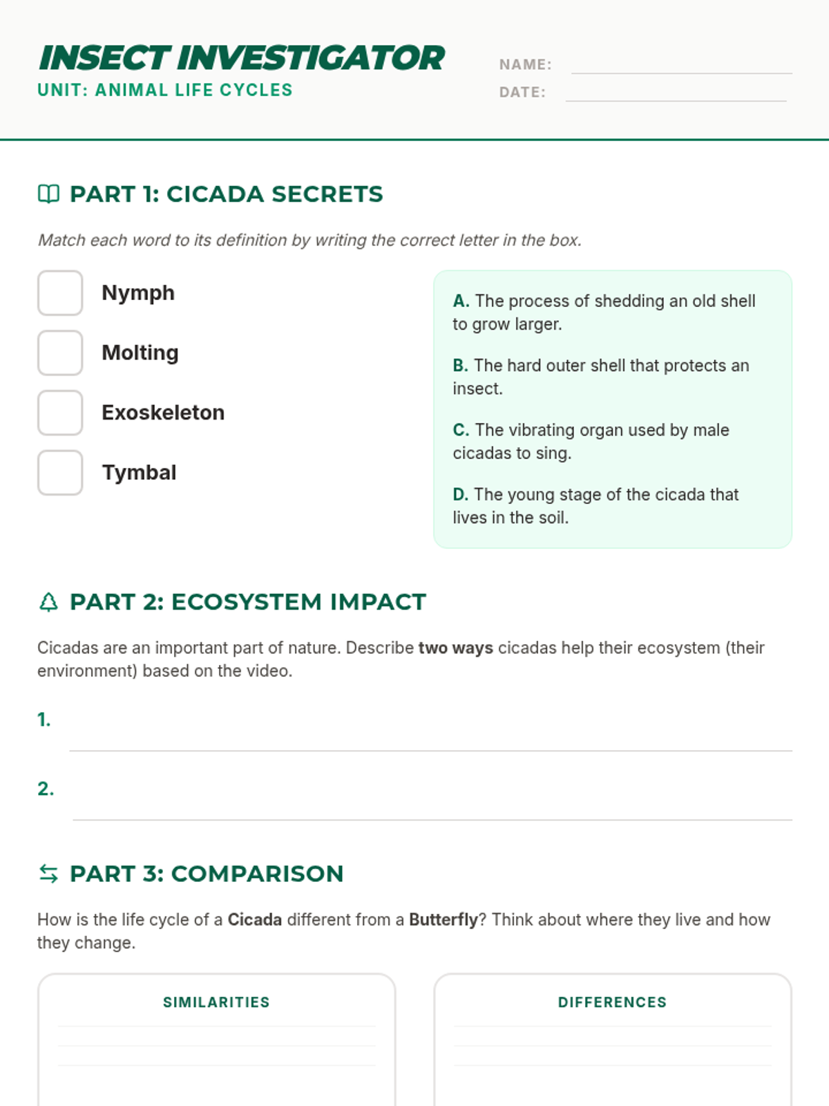 Cicada Secrets • Lesson • Lenny Learning
