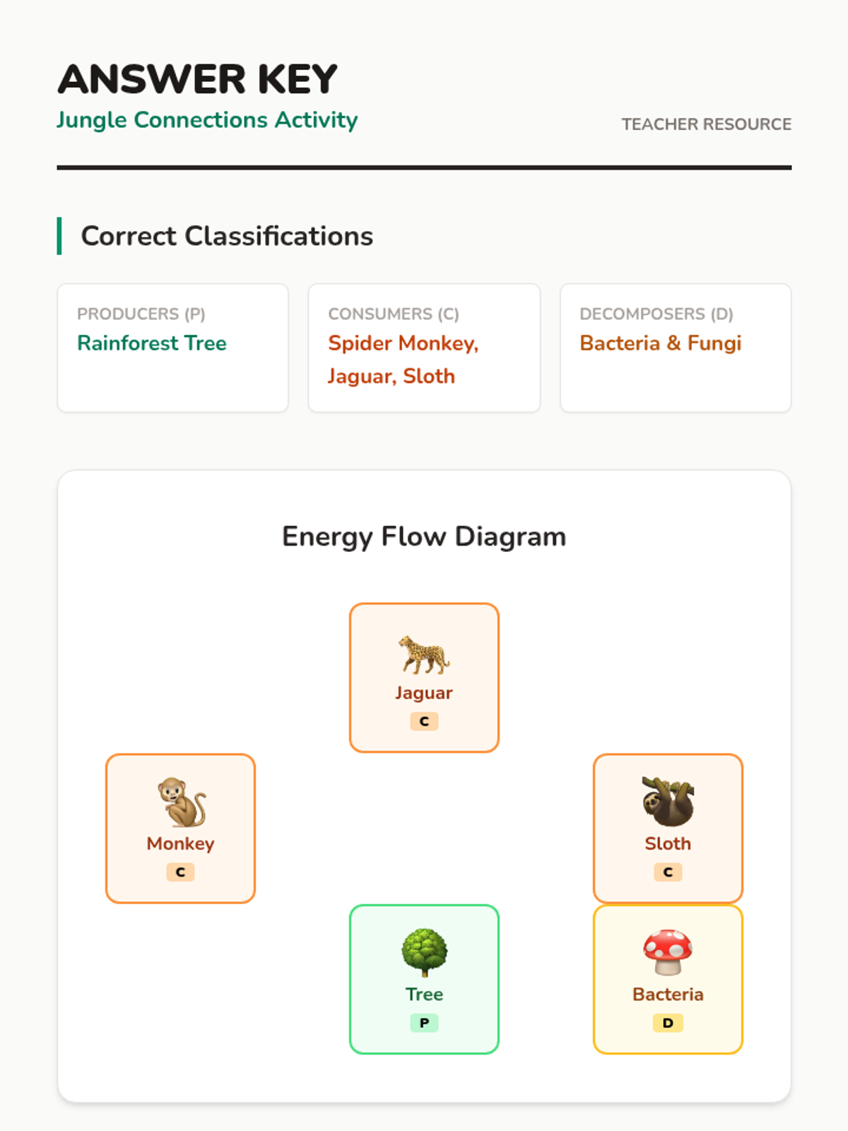 The Great Rainforest Web • Lesson • Lenny Learning