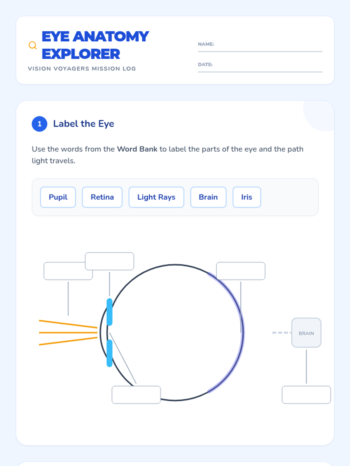 Eye Anatomy Explorer Worksheet • Material • Lenny Learning