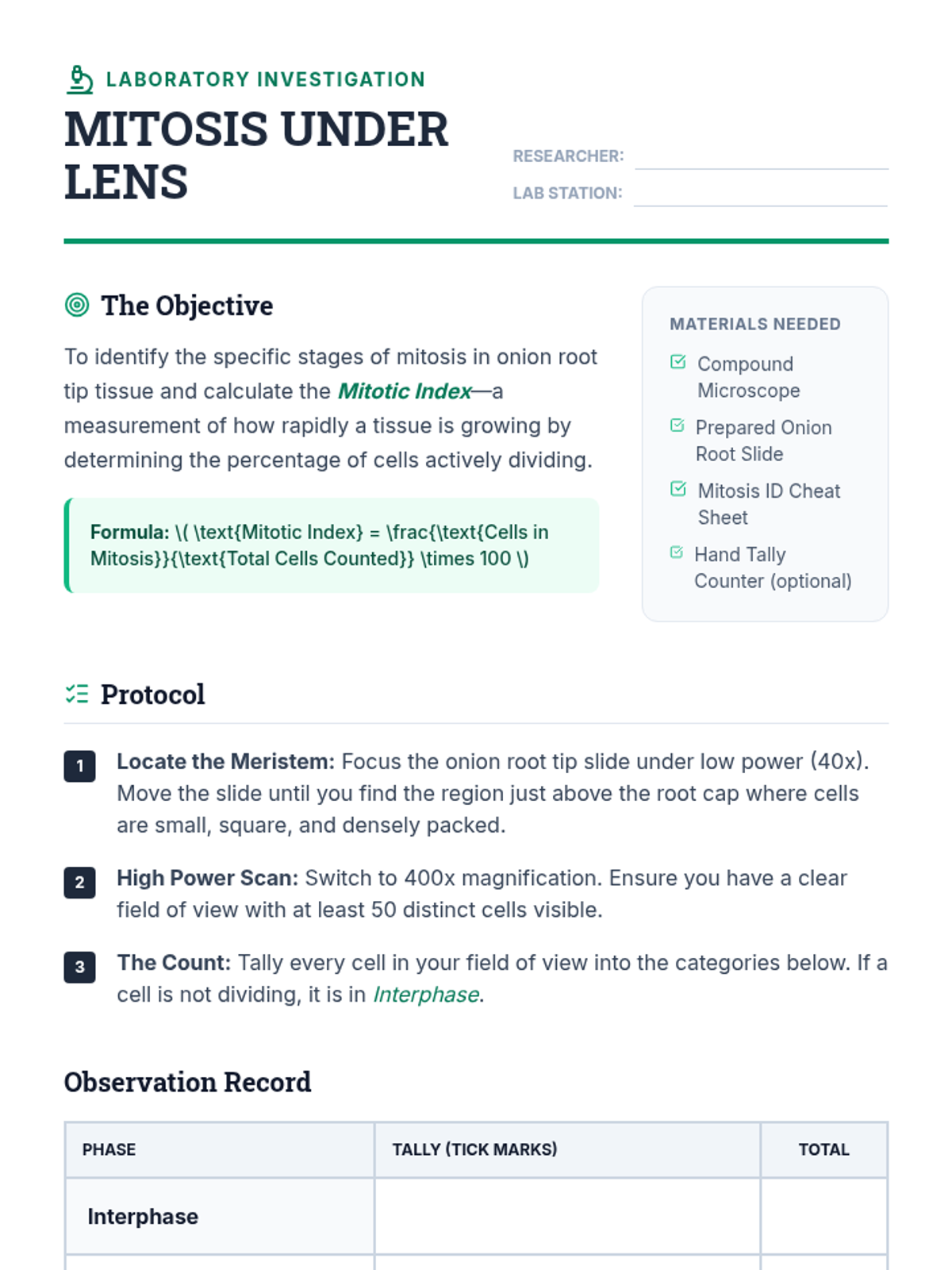 Mitosis Under Lens • Lesson • Lenny Learning